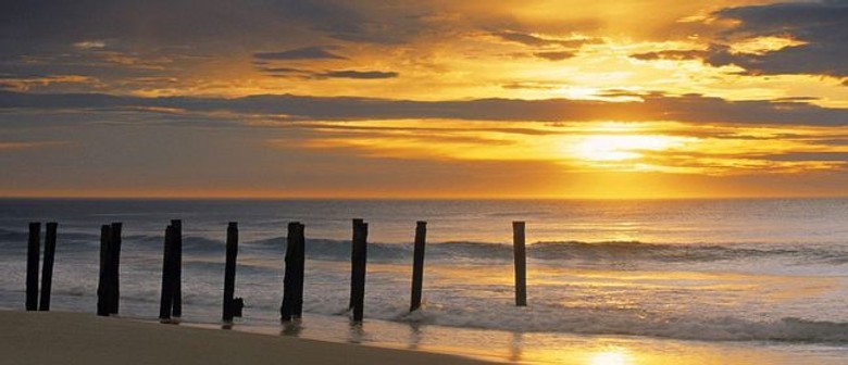 summer-school-holidays-family-events-activities-eventfinda