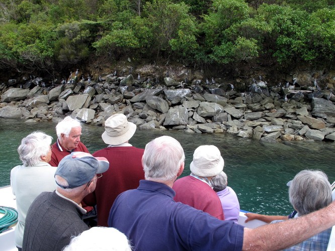Maud Island Public Trips - Marlborough Sounds - Eventfinda