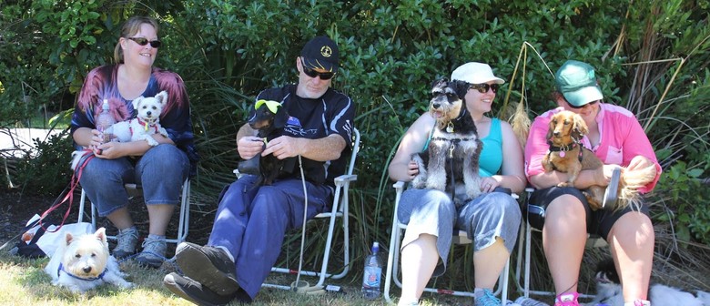 HUHA Paws In the Park - Lower Hutt - Eventfinda