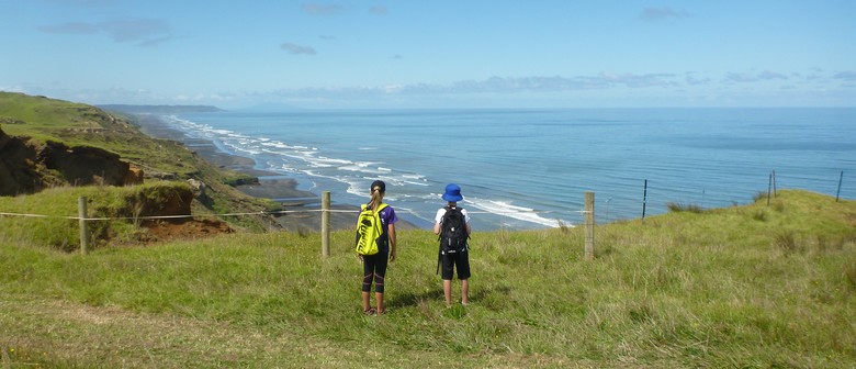 Waiuku Rotary Sunset Coast Walk - Auckland - Eventfinda