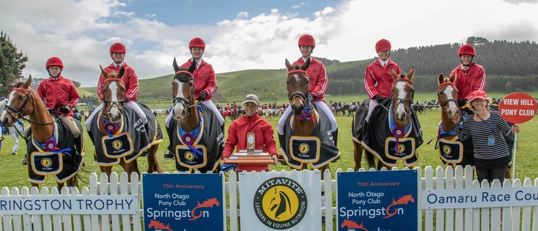 Springston Trophy Pony Club Teams Event - Christchurch - Eventfinda