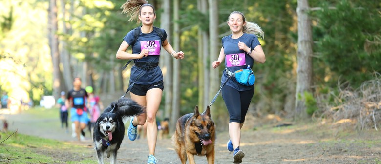 4 Paws Marathon 2021 - Christchurch - Eventfinda