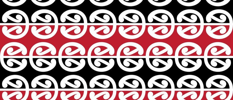 He Puapua: Promoting Equity in the Health System - Virtual - Eventfinda