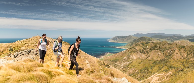 The Tora - Trail Run & Walk - Wairarapa - Eventfinda
