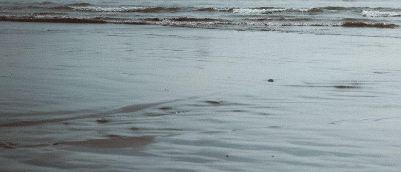 Professor Tim Naish - Sea Level Rise Webinar - Virtual - Eventfinda
