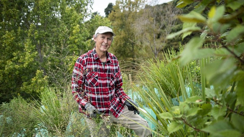 Miyawaki Biochar Microforest Weed and Greet - Nelson / Tasman - Eventfinda