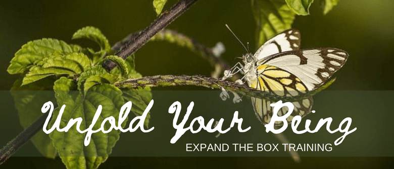 Unfold Your Being: Expand the Box Training - Kerikeri - Eventfinda