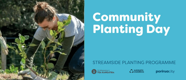 Streamside Planting: Porirua Tree Planting, Battle Hill - Porirua ...