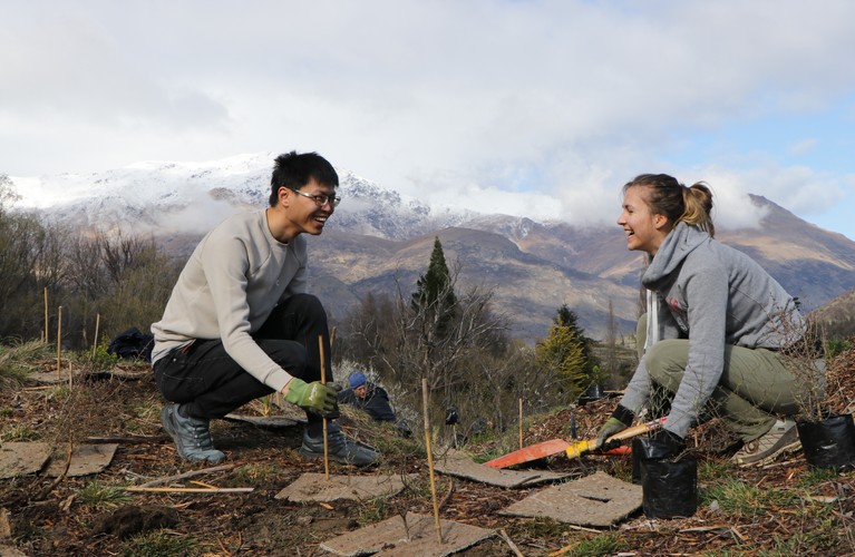 Volunteer Native Tree Planting Day - Queenstown Lakes - Eventfinda