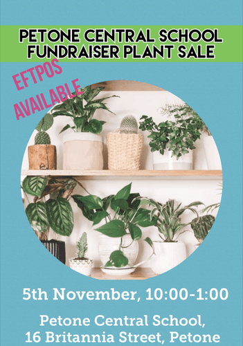 Petone Central School Plant Sale - Lower Hutt - Eventfinda