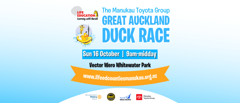 The Manukau Toyota Group Great Auckland Duck Race - Auckland - Eventfinda