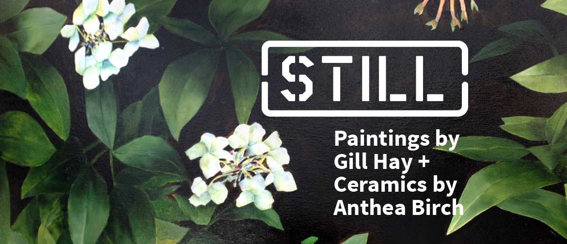 Still Paintings by Gill Hay + Ceramics by Anthea Birch - Christchurch ...
