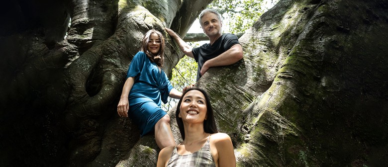 CMNZ Series - NZTrio - Wellington - Eventfinda