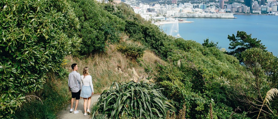 Summer Guided Walks - Southern Walkway - Wellington - Eventfinda