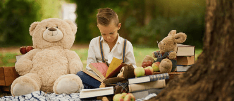 Teddy Bears’ Picnic and Teddy Bear Sleepover - Napier - Eventfinda