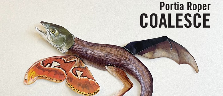Art Exhibition - "Coalesce" by Portia Roper - New Plymouth - Eventfinda