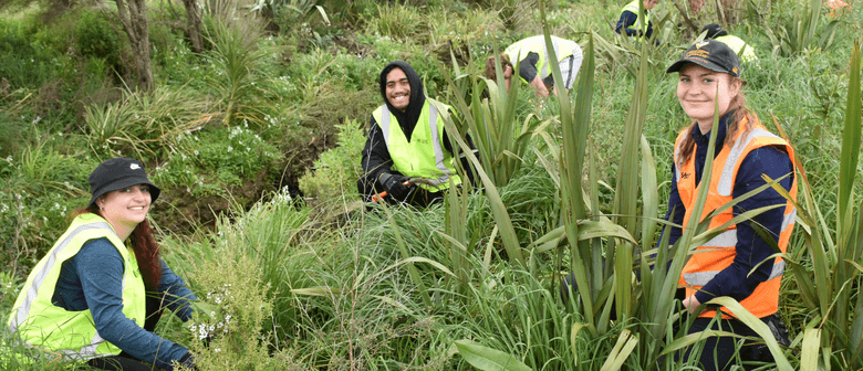 Native Plant Appreciation Day - 'Tree Rescue' – EcoFest - Auckland ...