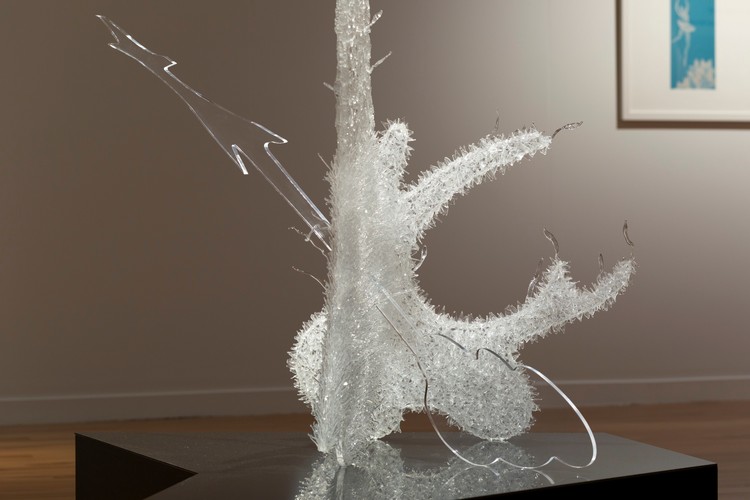 Vicki Fanning Exhibition - Opening and Artist Talk - Porirua - Mana ...