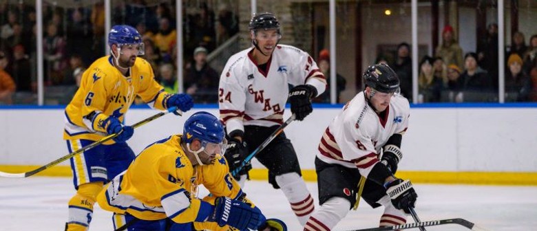 2023 NZIHL SkyCity Stampede vs Botany Swarm - Queenstown - Eventfinda