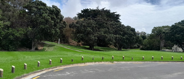 Cockle Bay Community Fun Event - Auckland - Eventfinda