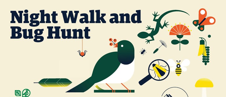 Night Walk and Bug Hunt - Wellington - Eventfinda