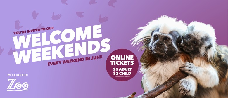Welcome Weekends! - Wellington - Eventfinda