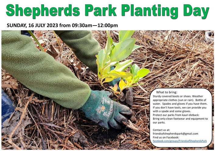 Matariki Planting At Shepherds Park - Auckland - Eventfinda