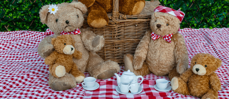 Teddy Bear's Picnic and Teddy Bear Sleepover - Napier - Eventfinda
