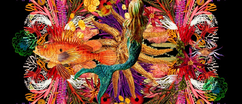 Auckland Exhibitions - Guide to Exhibitions events in Auckland - Eventfinda