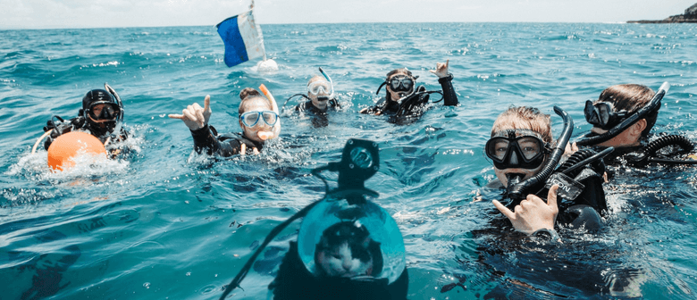 Holiday Programme- Mid Week-Learn to Scuba Dive with Dive HQ - Auckland ...