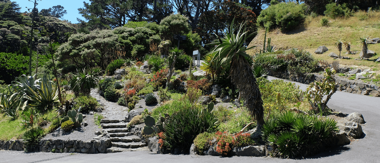 Plants with Cunning Plans – Guided Walk - Wellington - Eventfinda