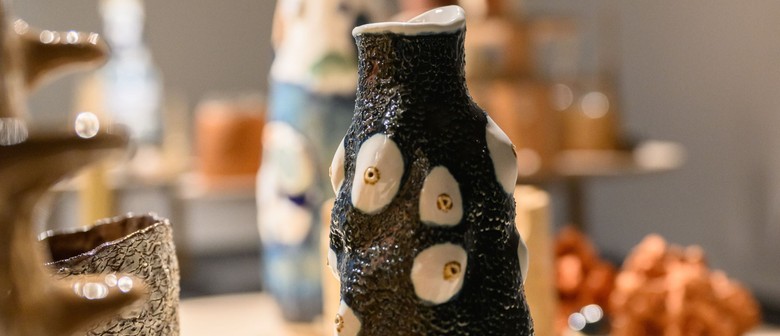 Panel Talk Lumps and Bumps: Radical Ceramics - Lower Hutt - Eventfinda