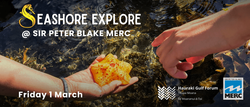 Seashore Explore - Auckland - Eventfinda