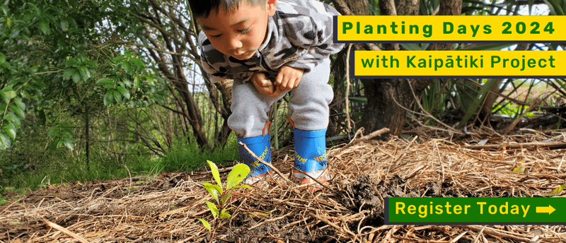 Planting Day with Kaipātiki Project - Auckland - Eventfinda