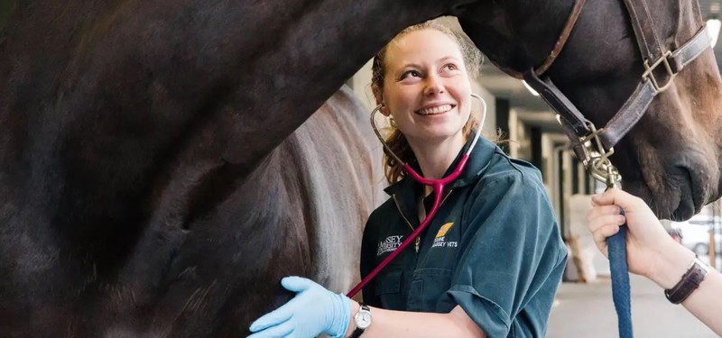 Veterinary Science Information Session 2024 - Virtual - Eventfinda