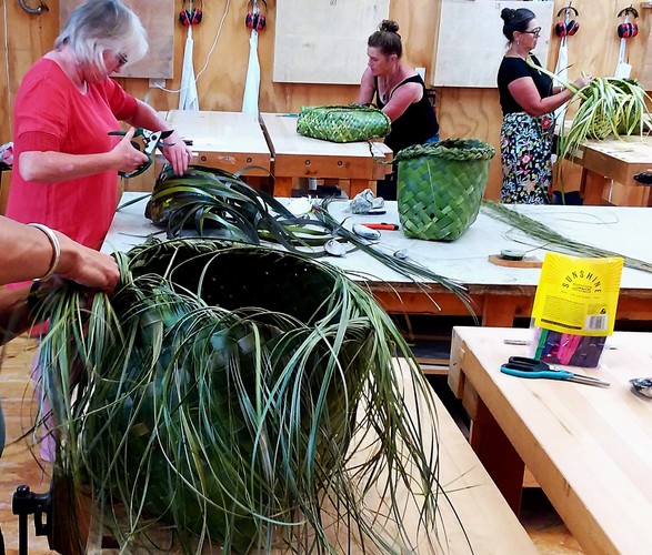 Harakeke Weaving Workshop - Weave the Greenest Shopping Bag - Inangahua ...