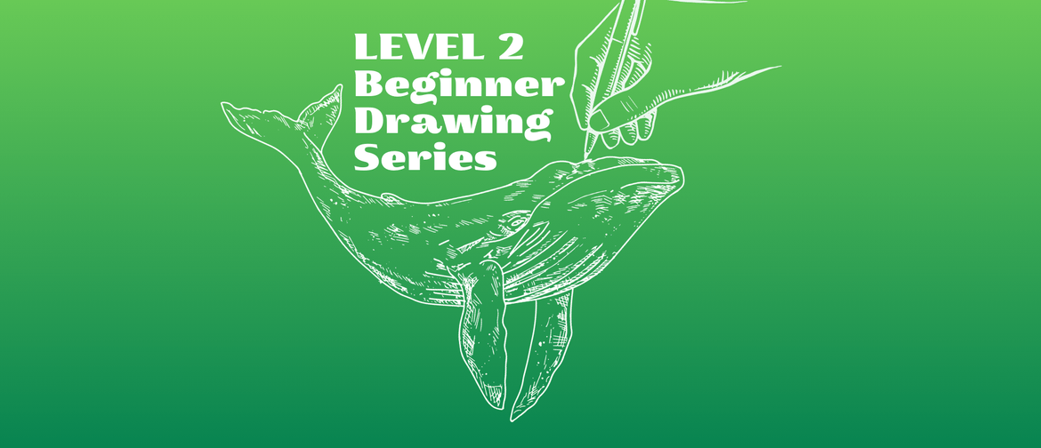 Level 2 Beginner Drawing Series - Tauranga - Eventfinda