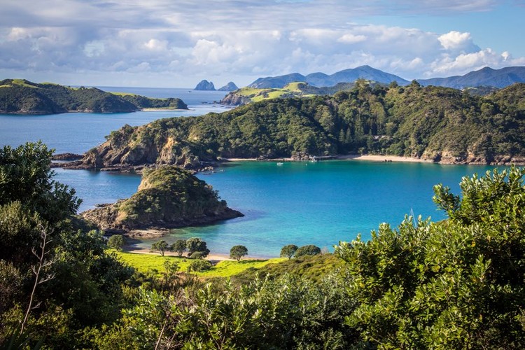 Walk 11 – Moturua Island - Sailing aboard Tall Ship R Tucker Thompson ...