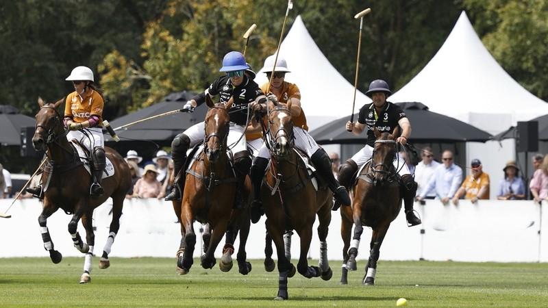 Lexus Urban Polo - Christchurch 2026 - Christchurch - Eventfinda