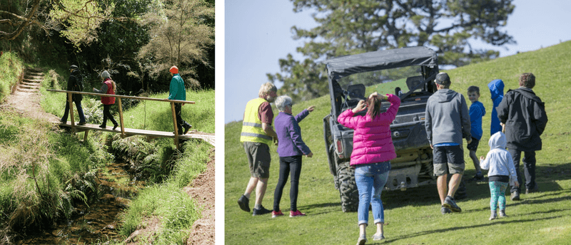 Ranui Farm Walk - Waipukurau - Eventfinda