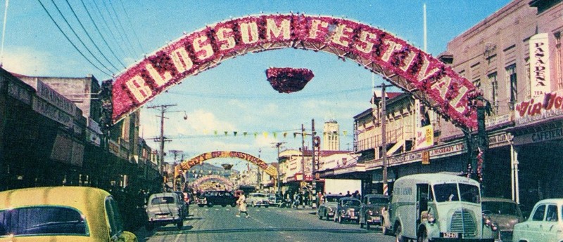 Hastings Blossom Festival - Hastings - Eventfinda