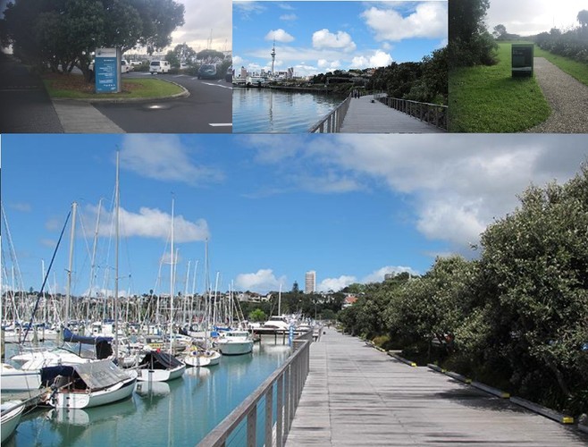 Beagle Walk in Westhaven - Auckland - Eventfinda