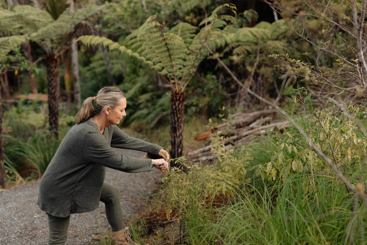 Art of Foraging - Auckland - Eventfinda