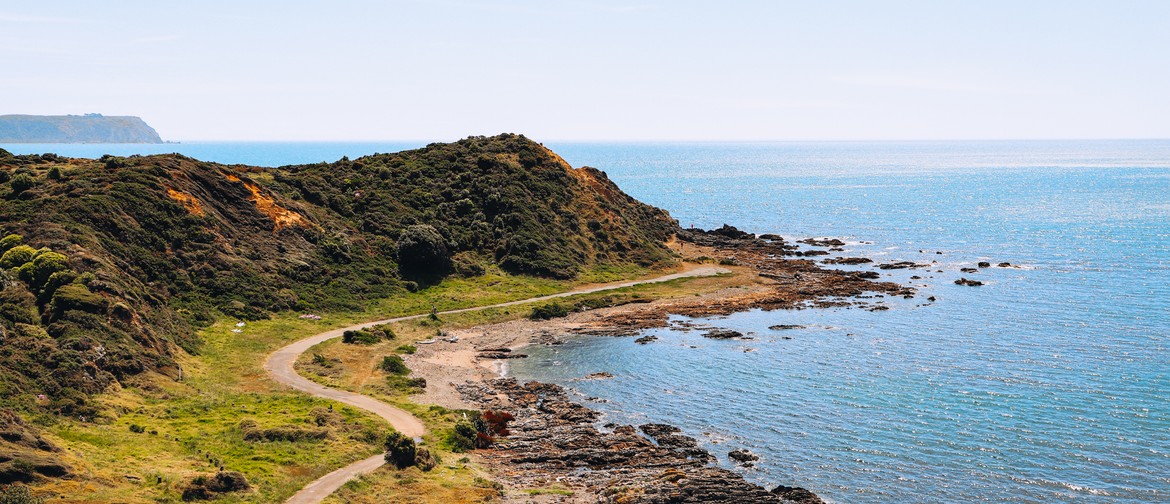 Wellington Heritage Festival - Sites of Significance Bus Tour - Porirua ...