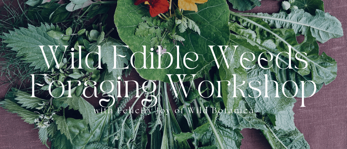 Wild Edible Weeds Foraging Workshop - Early Summer Abundance ...