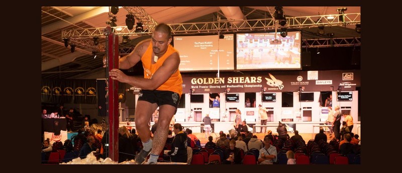 World Golden Shears Championships 2026 - Masterton - Eventfinda