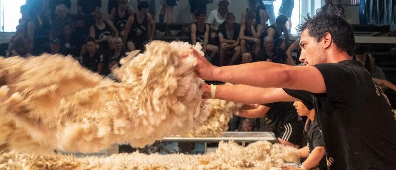 World Golden Shears Championships 2026 - Masterton - Eventfinda