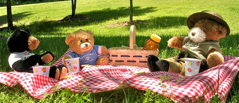Teddy Bears Picnic Scavenger Hunt Auckland Eventfinda teddy-bears-picnic-scavenger-hunt-auckland-eventfinda