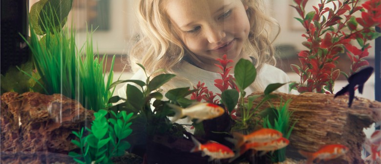 Animates Tauranga School Holiday Activities - Tauranga - Eventfinda