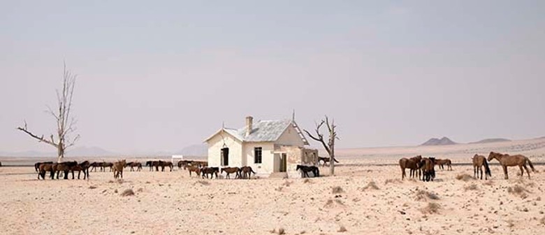 Locus - Auckland - Eventfinda